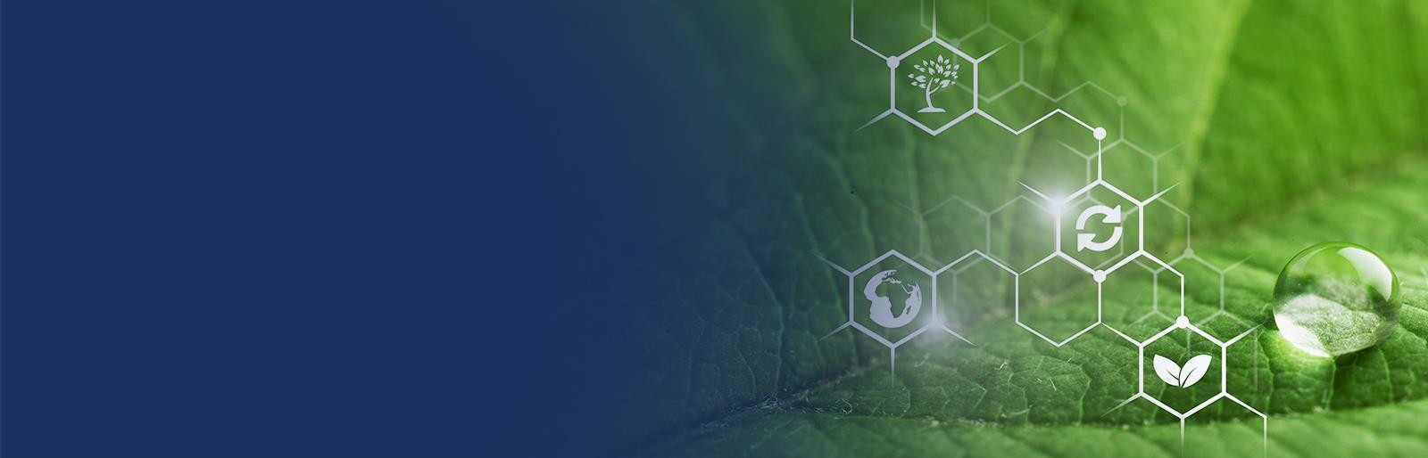 Bioengineering and Biotechnology