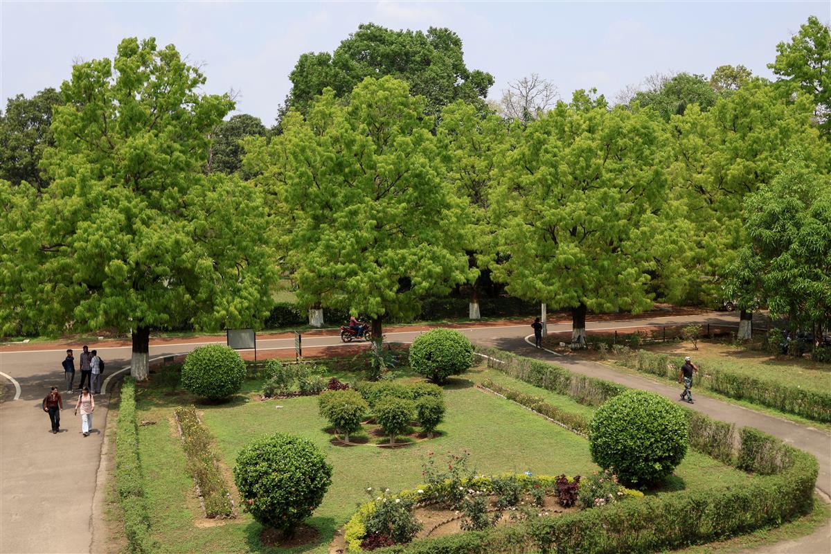 Faculty Members - Computer Science and Engg
